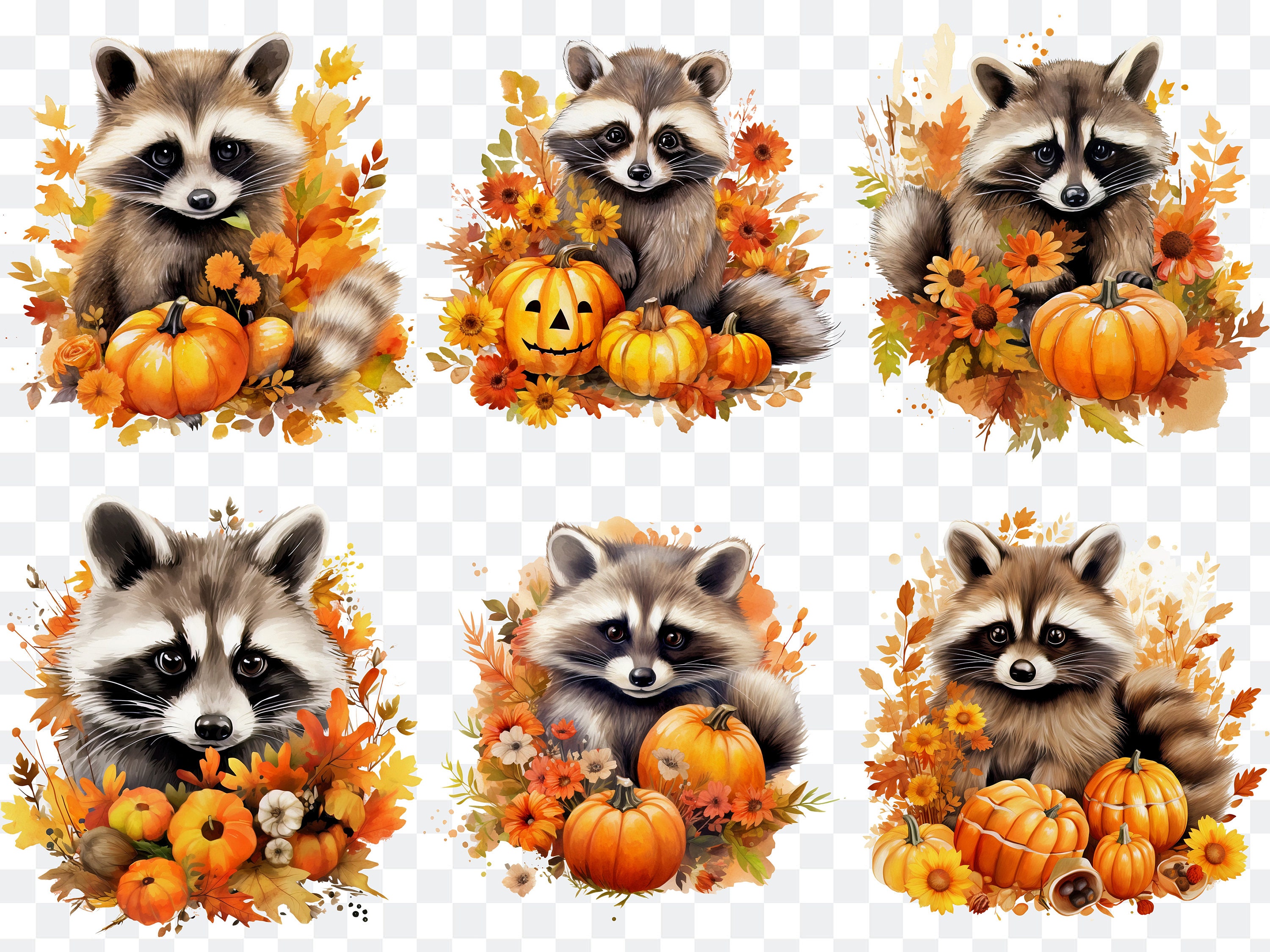 Watercolor Autumn Raccoon PNG Clipart Bundle, Instant Download, Cute ...