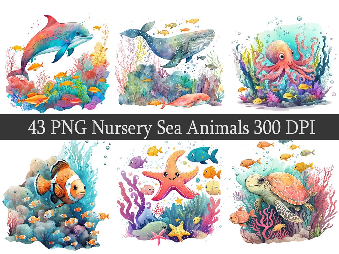 Nursery Sea Animals PNG Clipart Bundle, Marine Animals, Sea Life PNG ...
