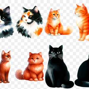 Watercolor Cats Clipart PNG Clipart Bundle, Instant Download, Cute Cat ...