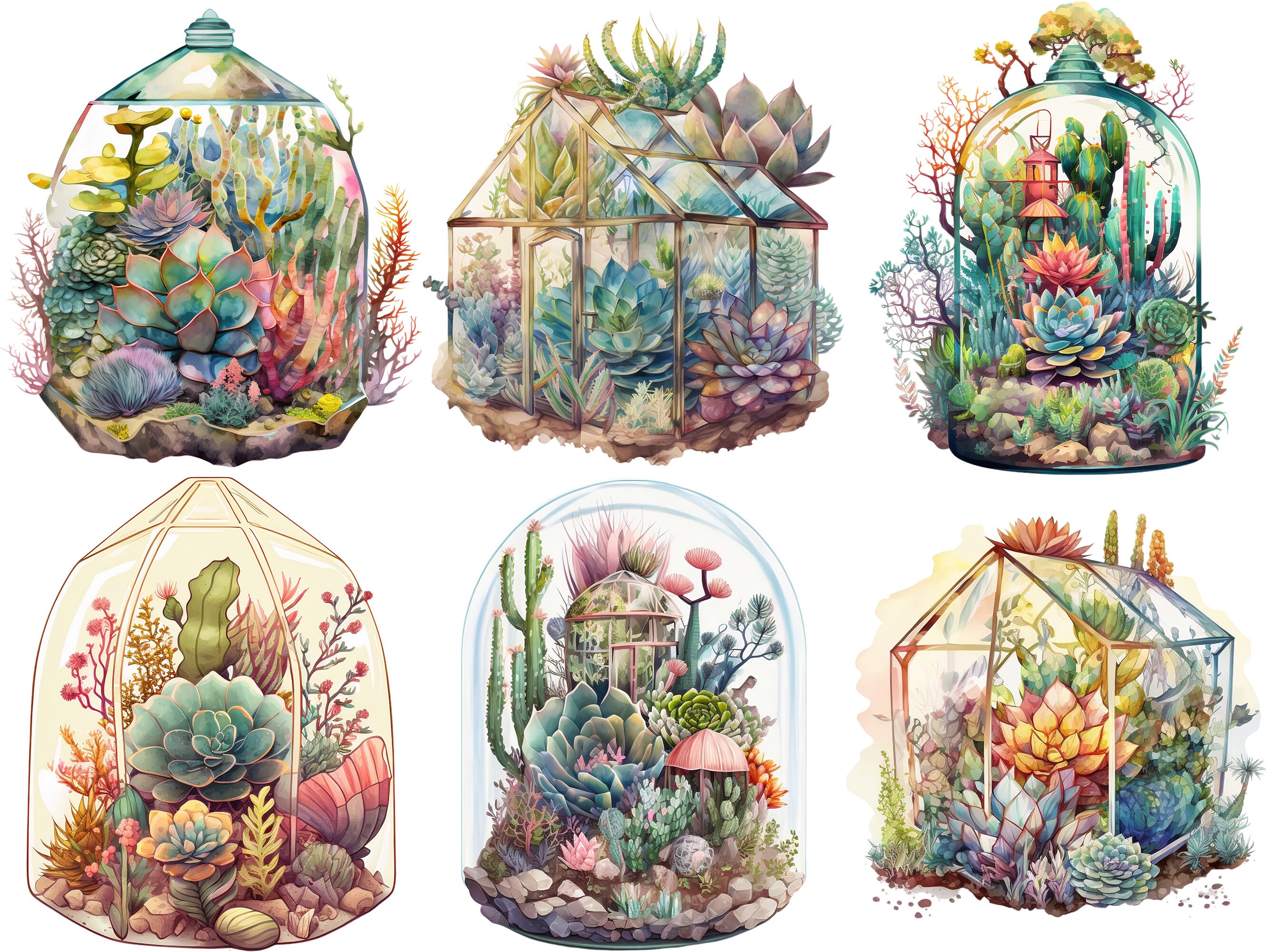 Watercolor Succulent Terrarium PNG Clipart Bundle House - Etsy