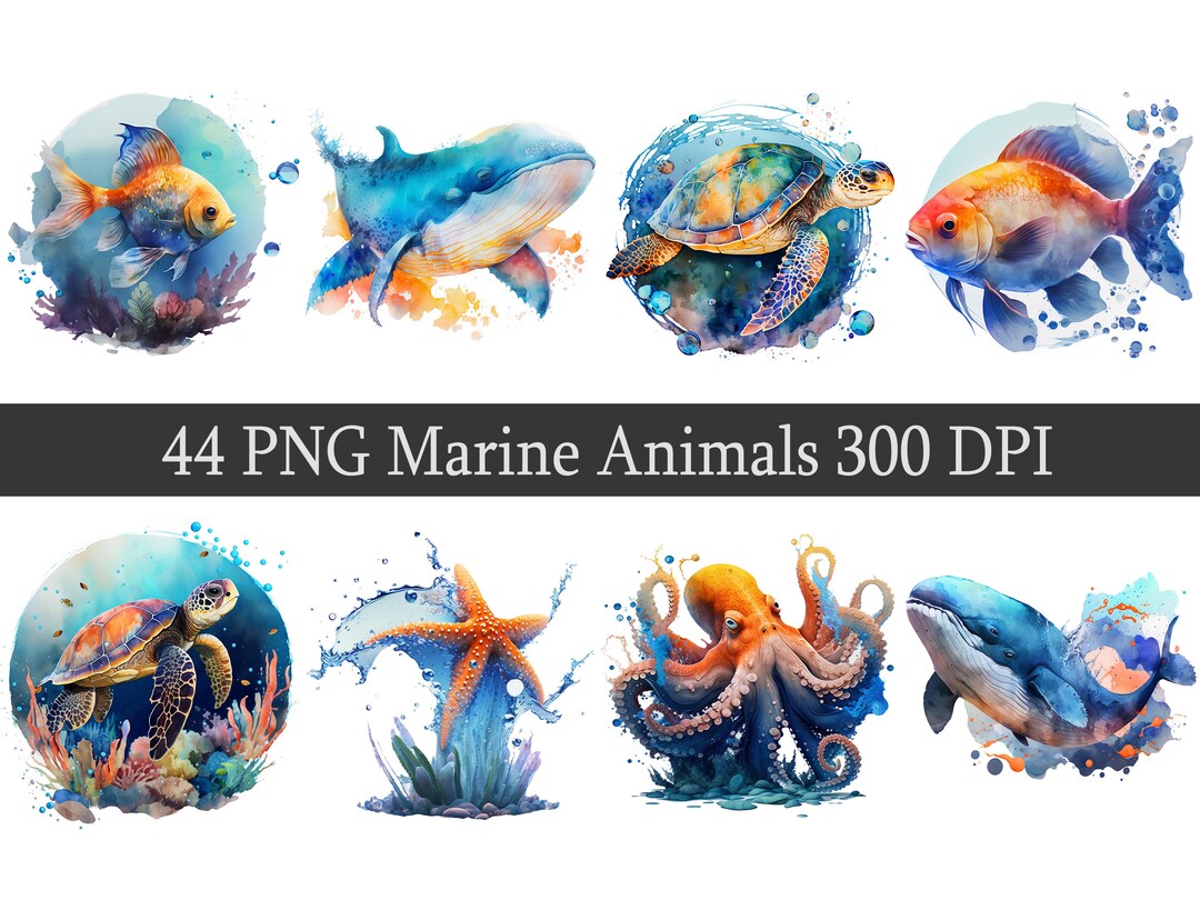 Marine Animals PNG Clipart Bundle, Scrapbooking, Dolphin Clip Art, Sea ...