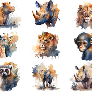 Watercolor Safari Animals PNG Clipart Bundle, Africa Wild Animals, Lion ...