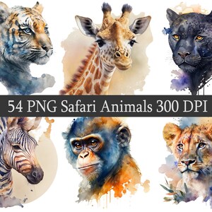 Watercolor Safari Animals PNG Clipart Bundle, Africa Wild Animals, Lion ...