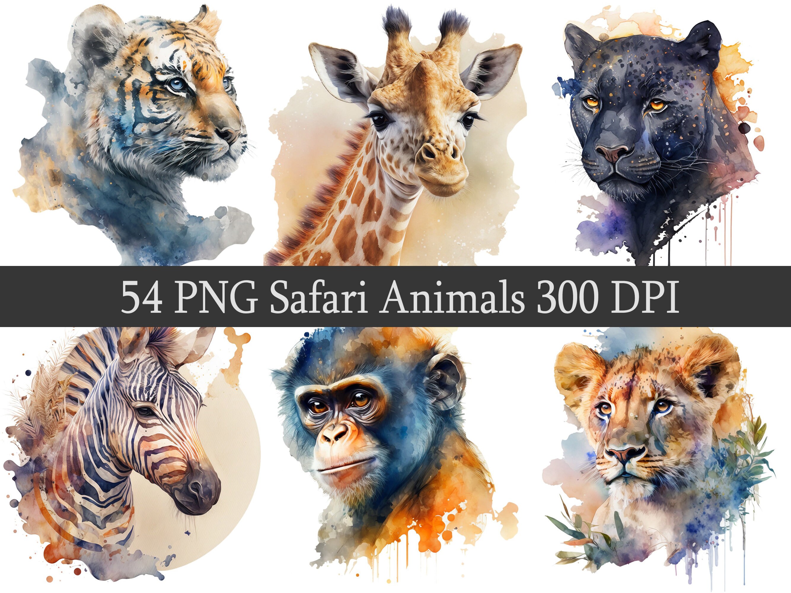Watercolor Safari Animals PNG Clipart Bundle, Africa Wild Animals, Lion ...