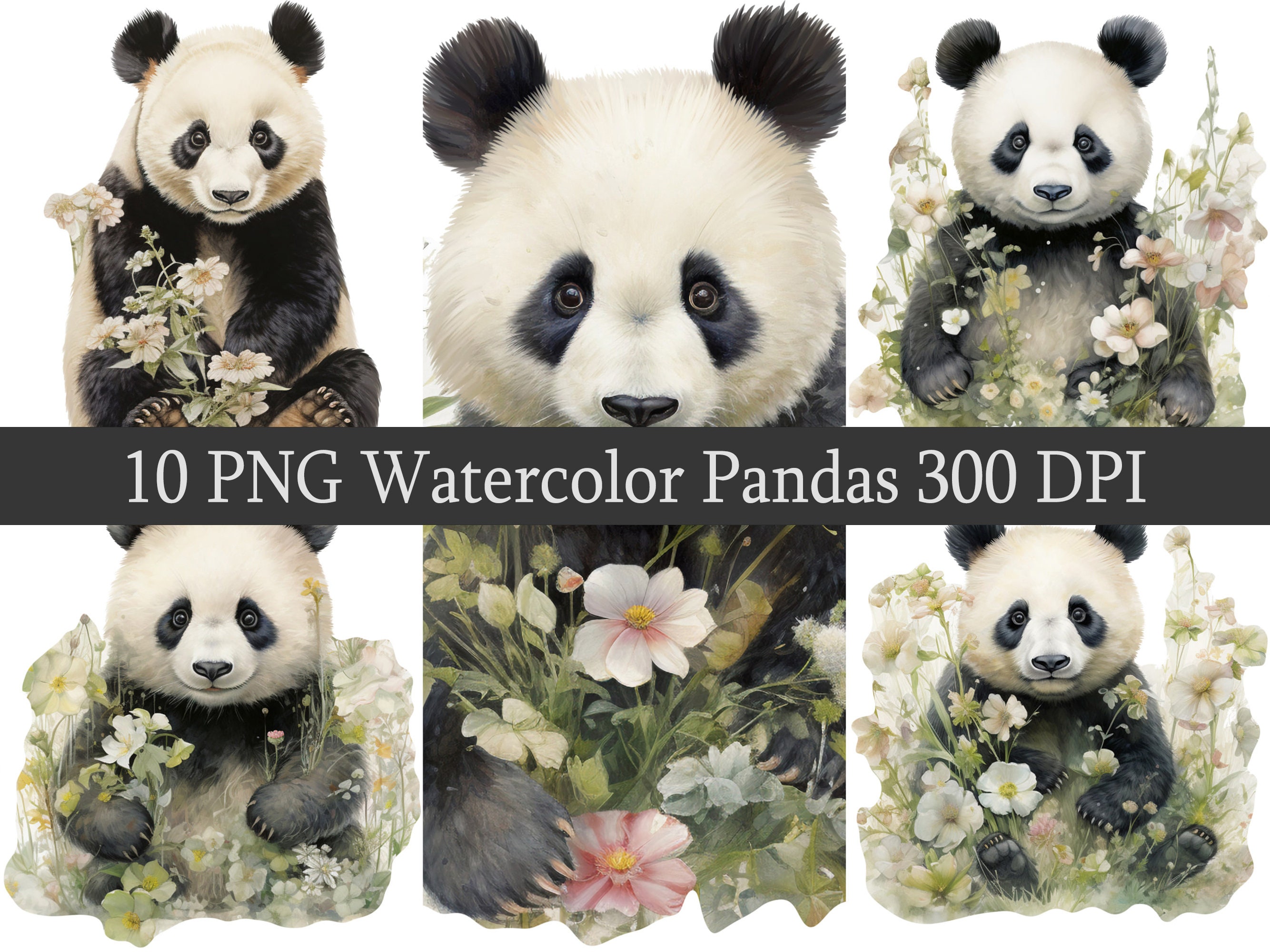 Watercolor Panda PNG Clipart Bundle, Instant Download, Panda Clip Art ...