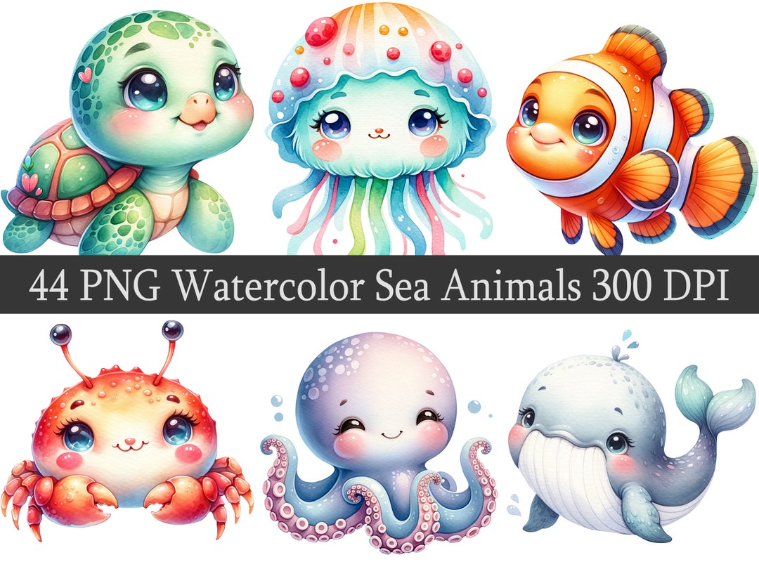 Watercolor Baby Sea Animals Clipart PNG Clipart Bundle, Instant ...