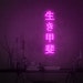 Japanese Neon Sign, Ikigai Japanese Art, Japanese Wall Decor, Japanese ...