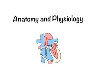 Anatomy and Physiology Nursing Anatomy Study Guide Anatomy - Etsy