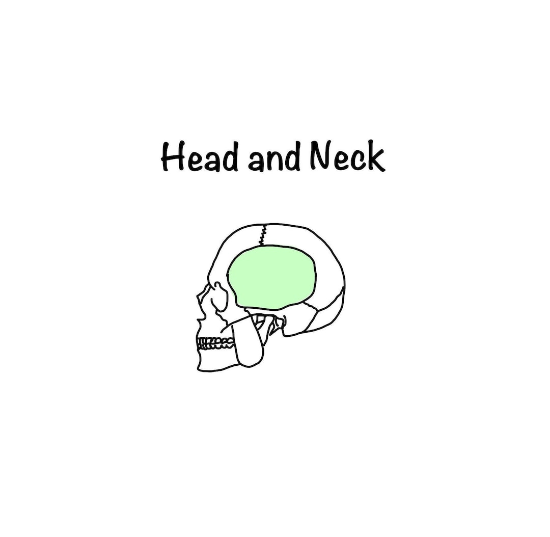 Head and Neck Notes - Etsy