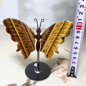 Natural Tiger Eye Butterfly,crystal Butterfly With Free Stand,wings ...