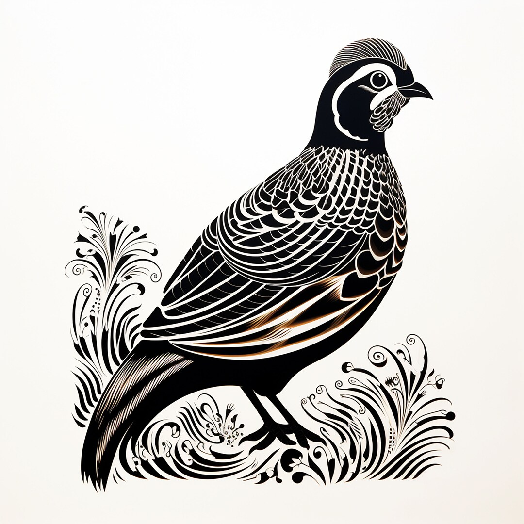 Quail Clip Art: Wildlife Bird Decal, Stencil, Logo (digital Download ...