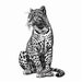 Leopard Black Line Art: Wildlife Stencil, Logo, Decal (digital Download ...