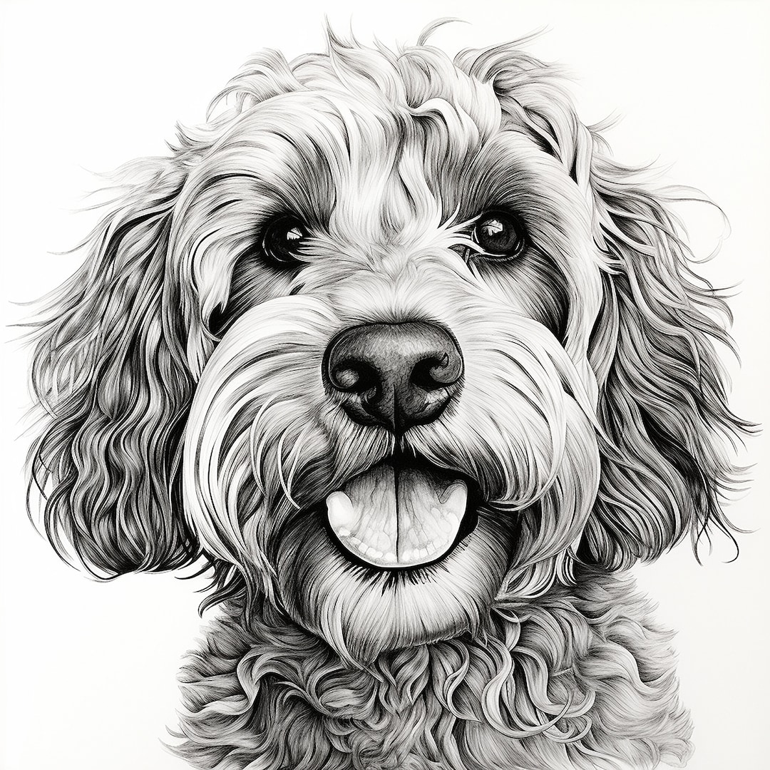 Labradoodle Pet Portrait Clip Art, Printable Dog Illustration for ...