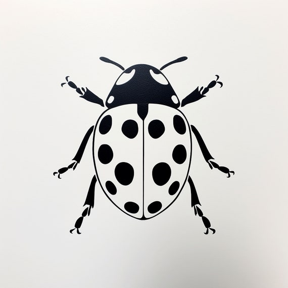 Lady Bug Black And White Clip Art