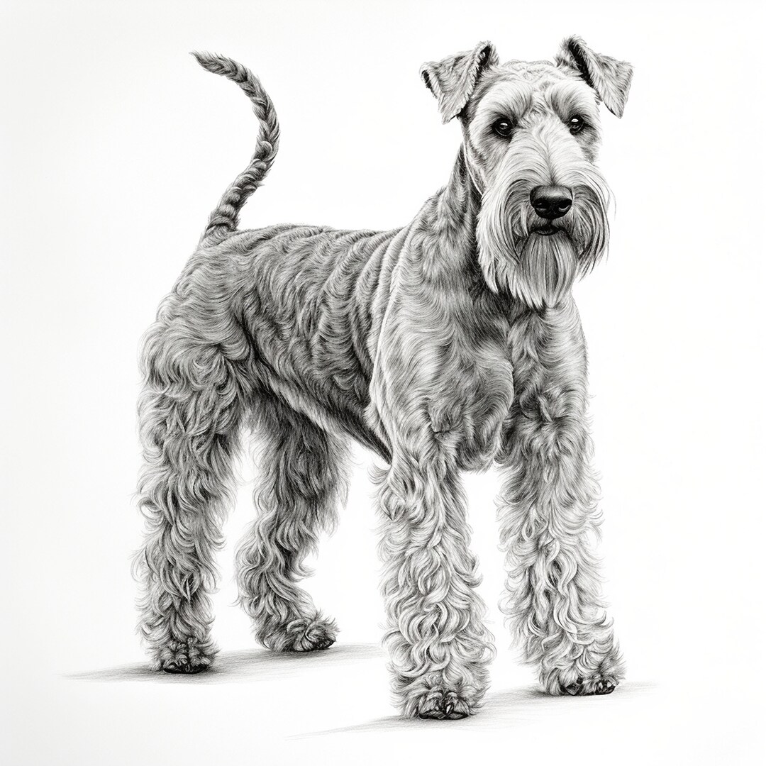 Airedale Terrier Fine Line Pencil Drawing, Printable Commercial Dog Pet ...