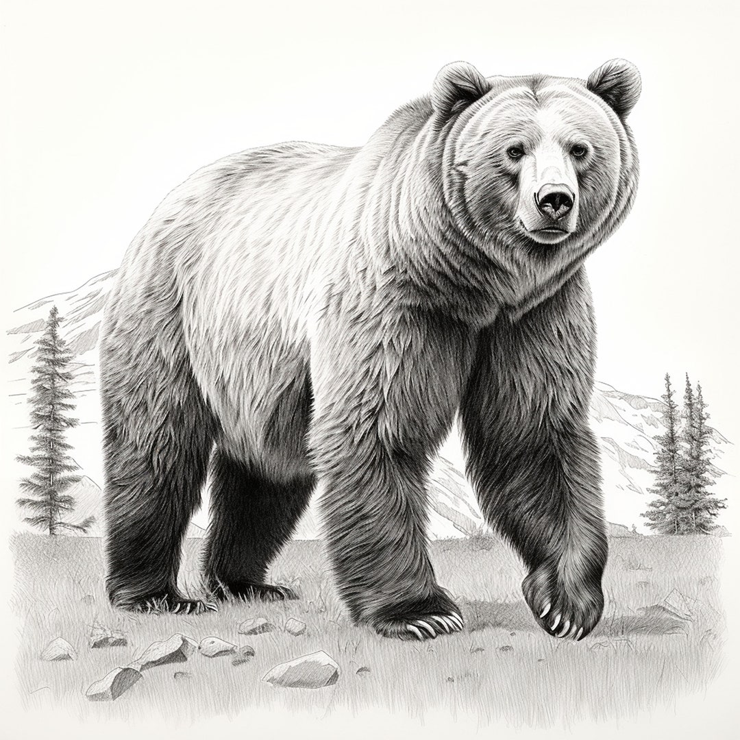 Grizzly Bear Clip Art: Realistic Wildlife Animal Decal (digital ...