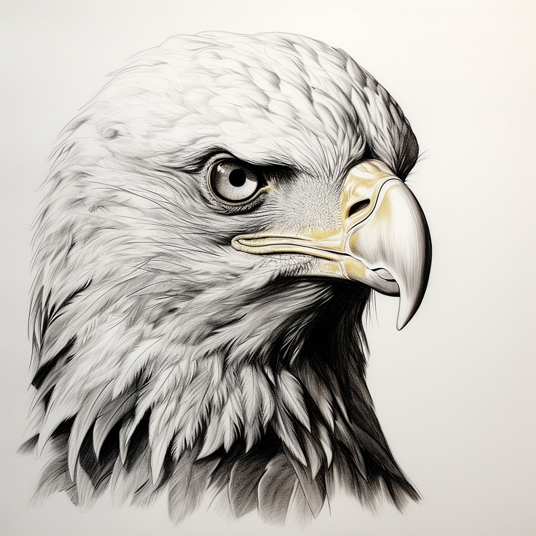 Eagle Fine Line Bird Portrait, Printable Realistic Wildlife Animal ...
