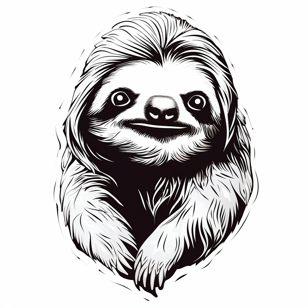 Sloth Clip Art Illustration Printable Sloth Wildlife Animal - Etsy