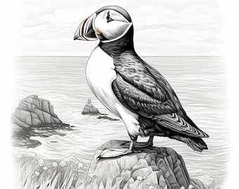 Hummingbird Floral Border Clip Art, Printable Bird and Flower ...