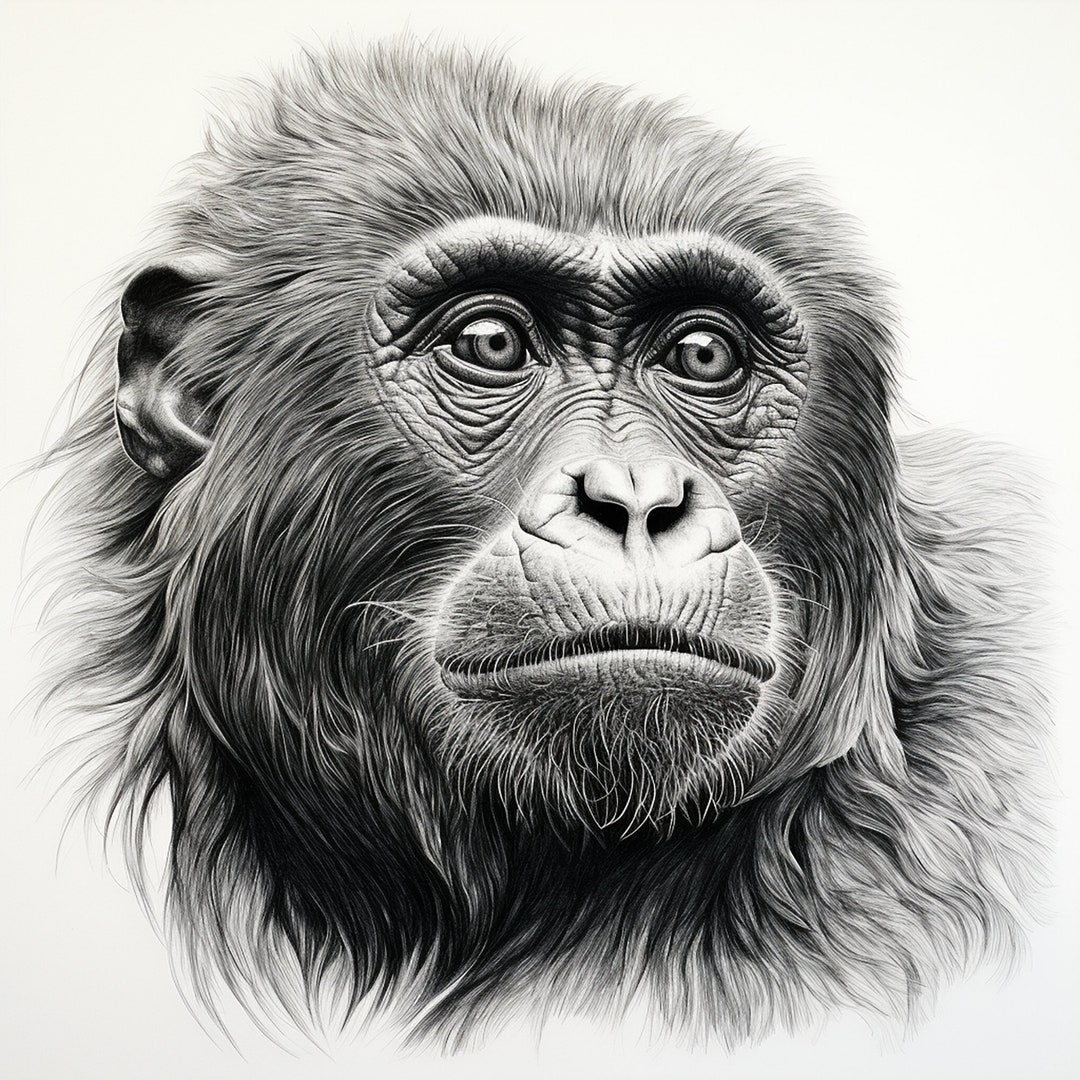 Howler Monkey Clip Art, Printable Wildlife Animal Decal for Sticker ...