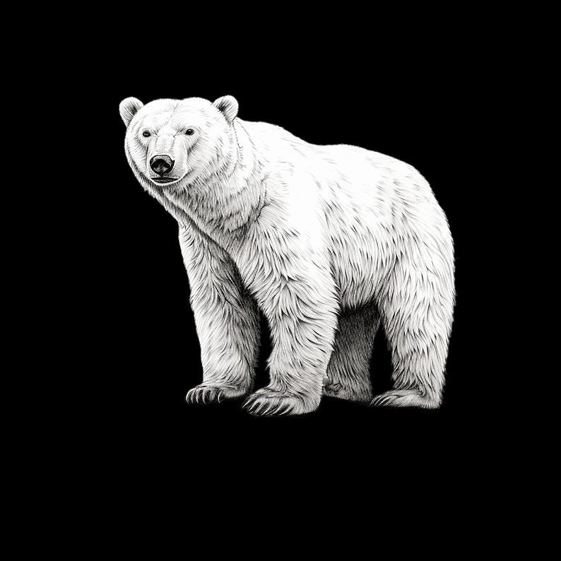 Polar Bear Fine Line Illustation, Arctic Animal Portrait Realistic ...