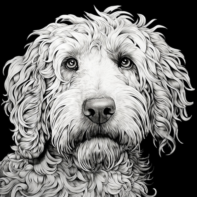 Labradoodle Portrait Clip Art: Dog Illustration (PNG, JPEG) - Etsy