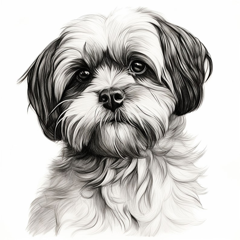 Shih Tzu Fine Line Pet Portrait, Printable Dog Image for Sticker ...