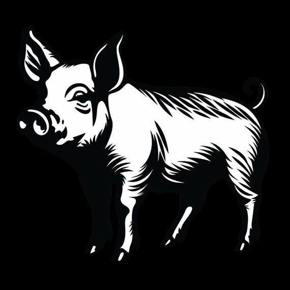 Varken Clipart Zwart Wit