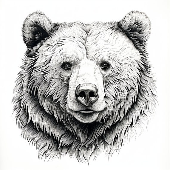 Bear Face Coloring Page