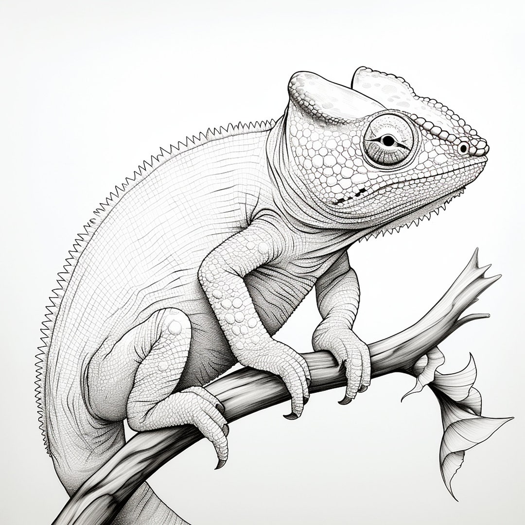 Chameleon Illustration: Wildlife Drawing for Stencil, Logo, Tattoo ...