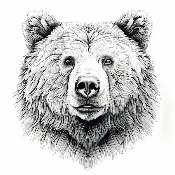 Bear Line Drawing - Etsy