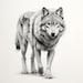 Wolf Fine Line Illustration: Realistic Wildlife Image (digital Download ...