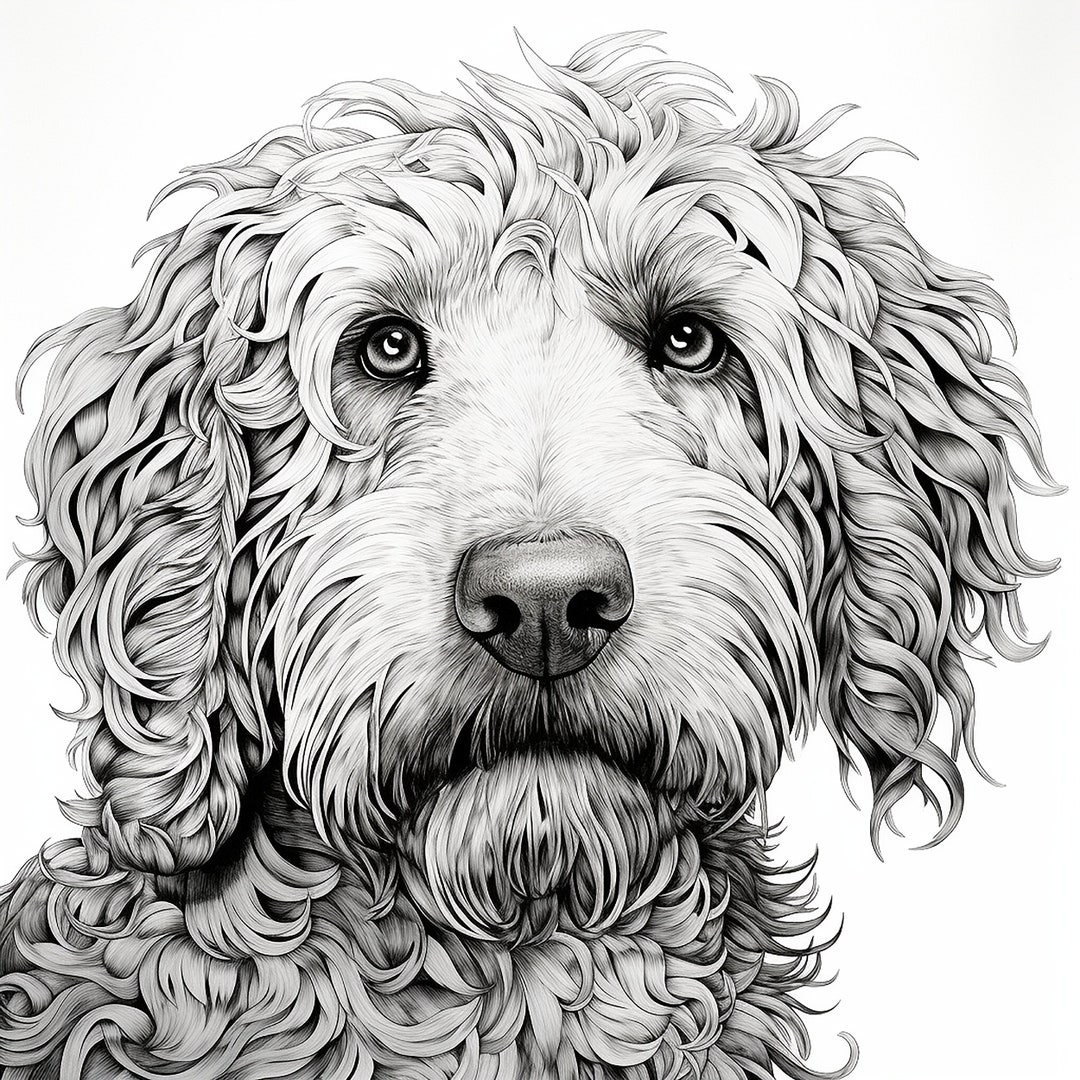 Labradoodle Pet Portrait Clip Art, Printable Dog Illustration for ...