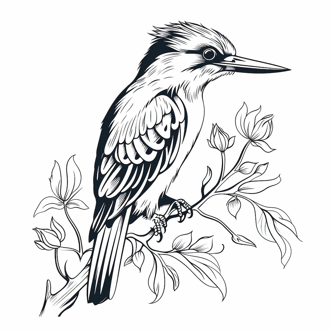 Kingfisher Bird Black Line Clip Art, Printable Wild Bird Image for ...