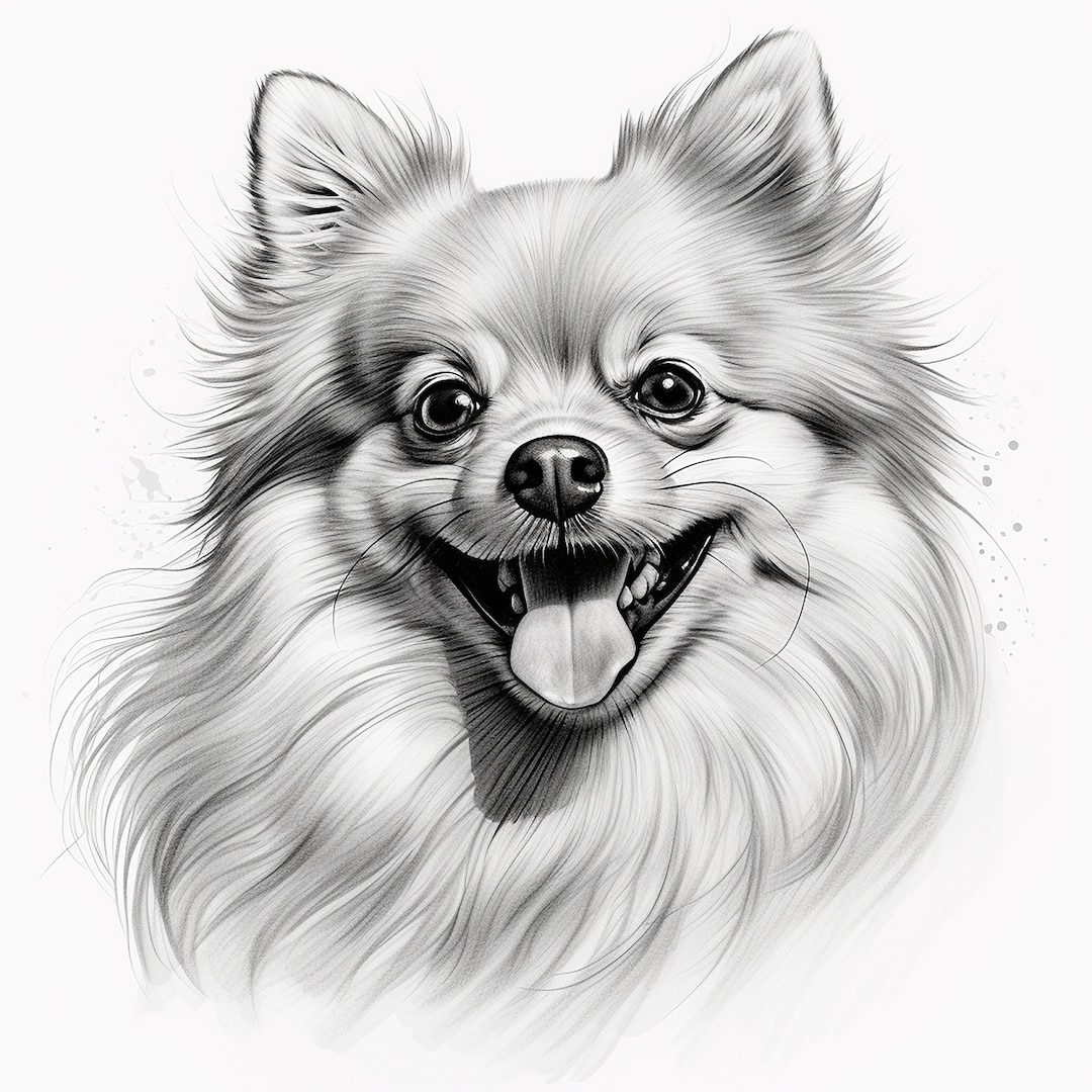 Pomeranian Clip Art Pet Portrait, Printable Fine Line Dog Drawing ...