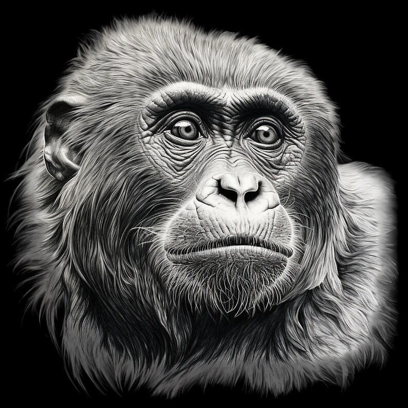 Howler Monkey Clip Art: Wildlife Animal Decal (SVG, Vector) - Etsy