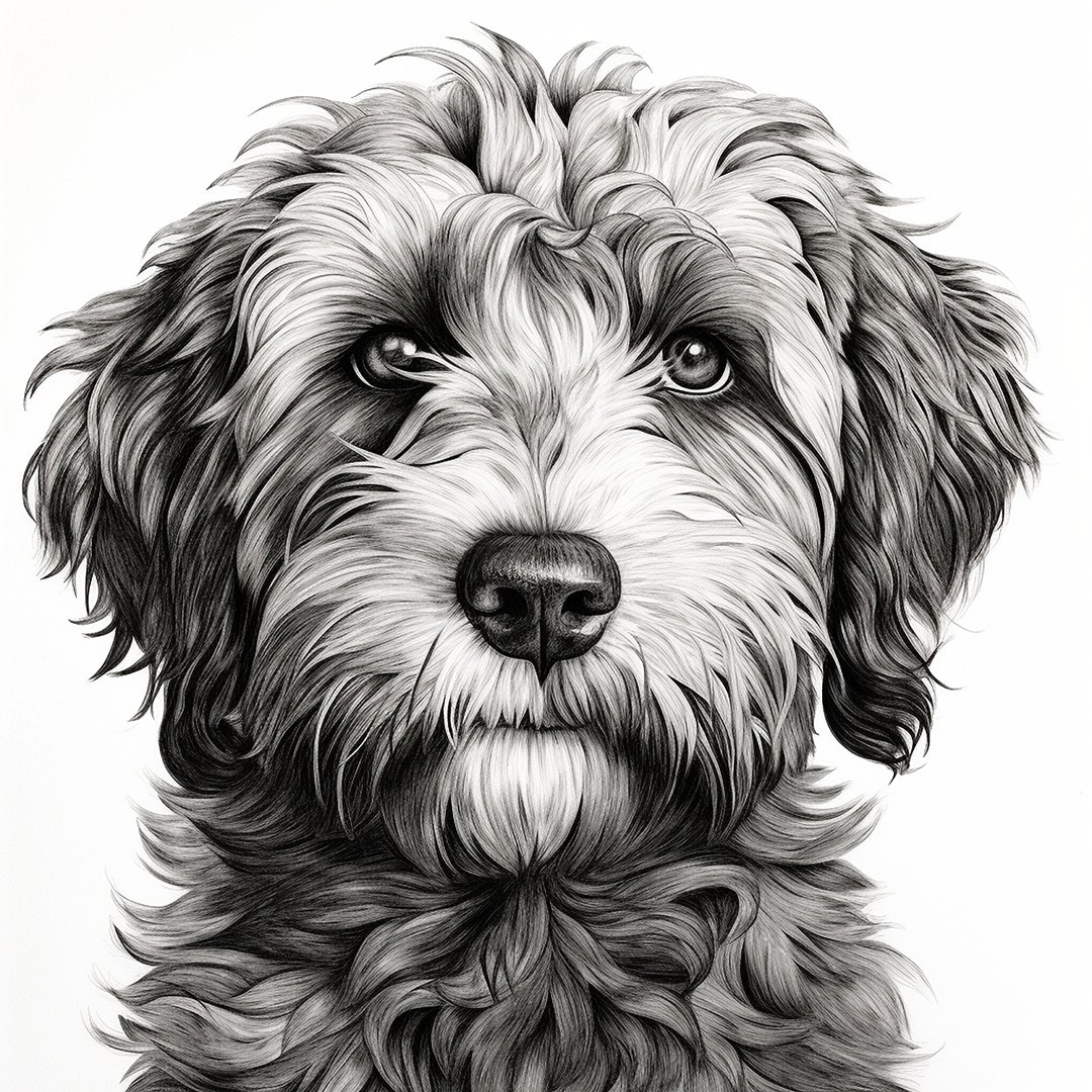 Labradoodle Pet Portrait Clip Art, Printable Dog Illustration for ...