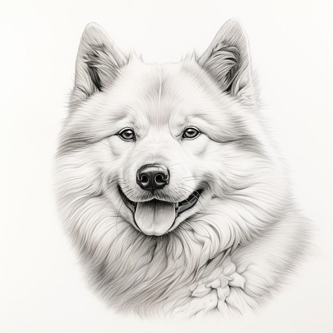 Akita Dog Portrait: Fine Line Pencil Illustration (PNG, JPEG) - Etsy