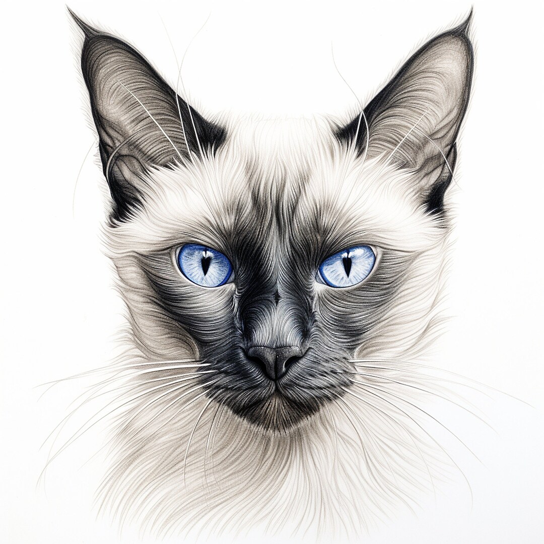 Siamese Cat Portrait Clip Art: Abstract Pet Design (digital Download ...