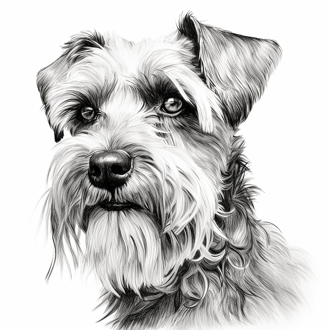 Mini Schnauzer Pet Portrait Clip Art, Dog Illustration, Fine Line ...