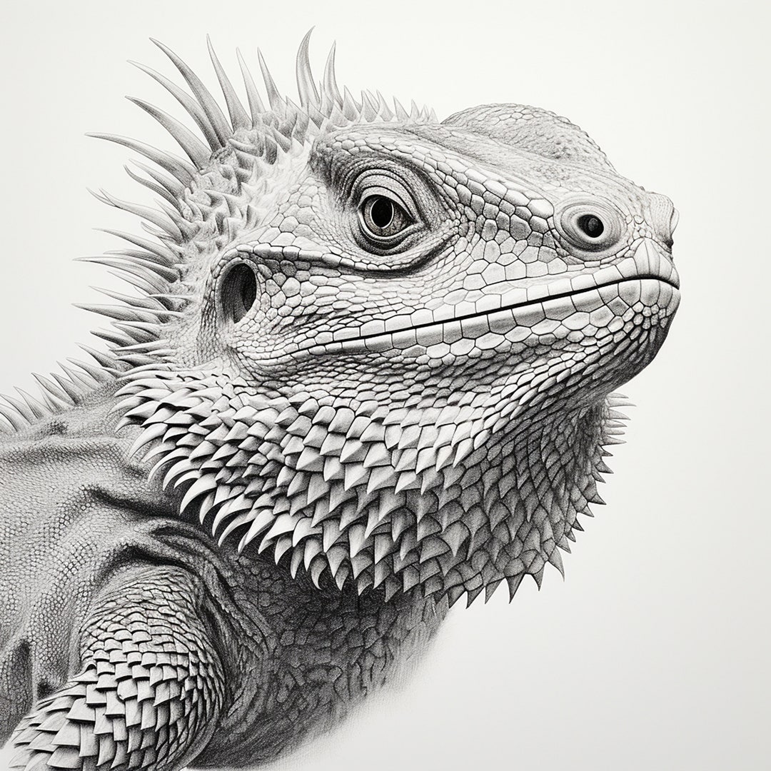 Bearded Dragon Fine Line Portrait: Wildlife Lizard Image (digital ...