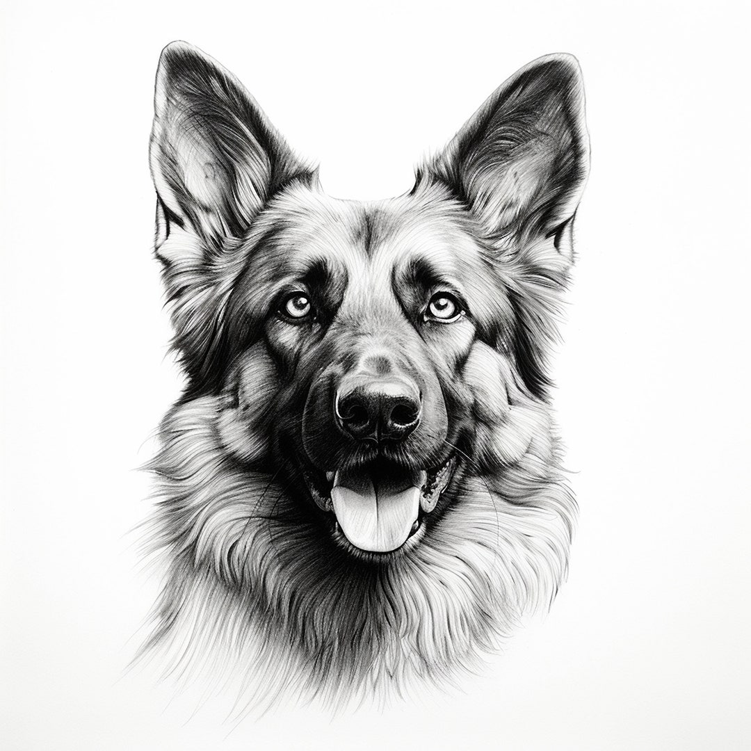 German Shepherd Fine Line Pencil Drawing Pet Portrait - Etsy