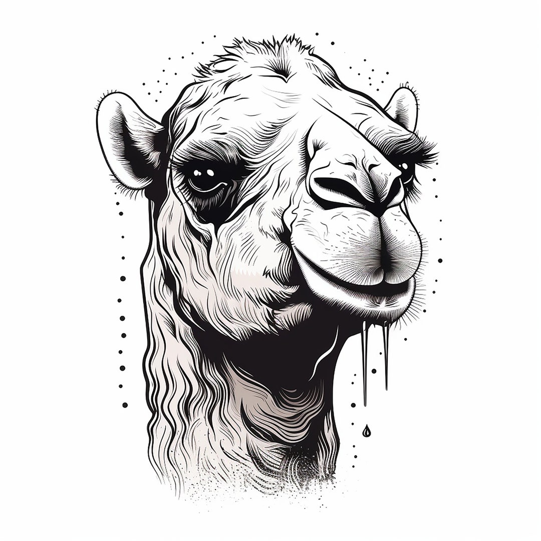 Camel Black Line Art: Abstract Wildlife Decal (PNG, JPEG) - Etsy