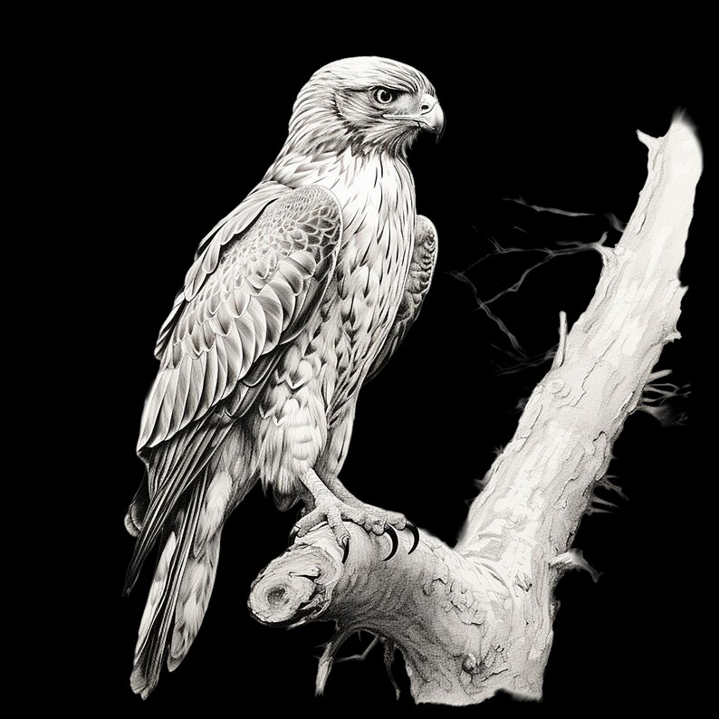 Hawk Fine Line Portrait: Printable Bird Stencil, Logo, Tattoo (digital ...