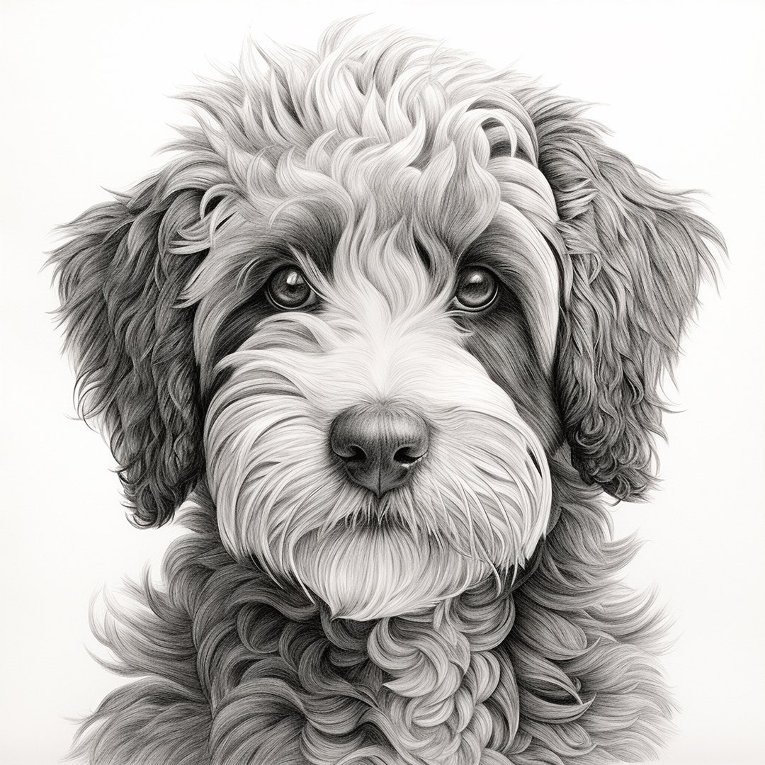 Barbet Dog Pet Portrait, Printable Instant Download for Realistic ...