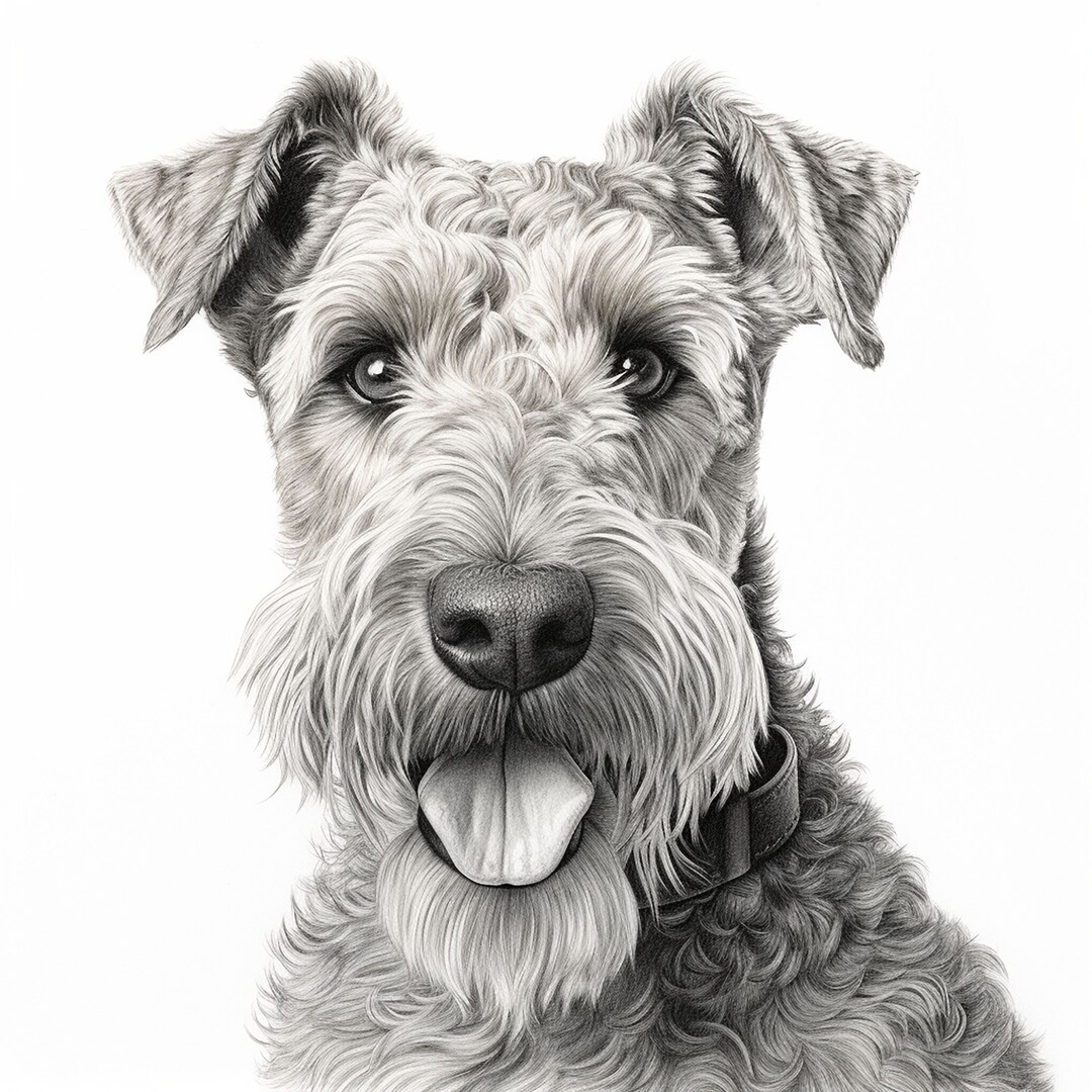 Airedale Terrier Portrait: Commercial Dog Drawing (PNG, JPEG) - Etsy