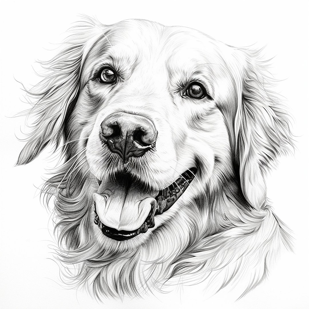 Golden Retriever Portrait: Realistic Dog Illustration (digital Download ...