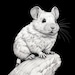 Pika Fine Line Art: Realistic Wildlife Portrait (digital Download) - Etsy