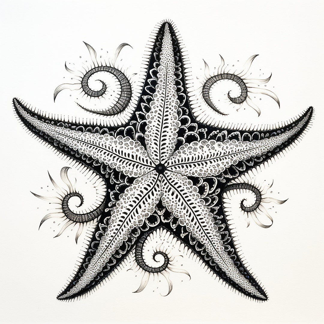 Abstract Starfish Clip Art Illustration, Printable Ocean Animal ...