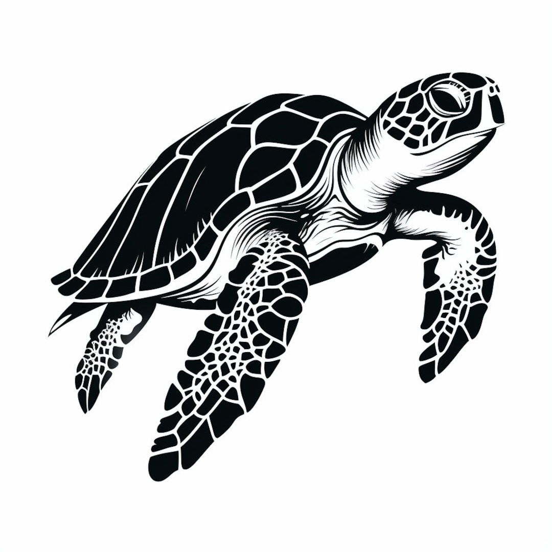 Sea Turtle Clip Art Illustration -- Swimming Turtle Illustration for ...